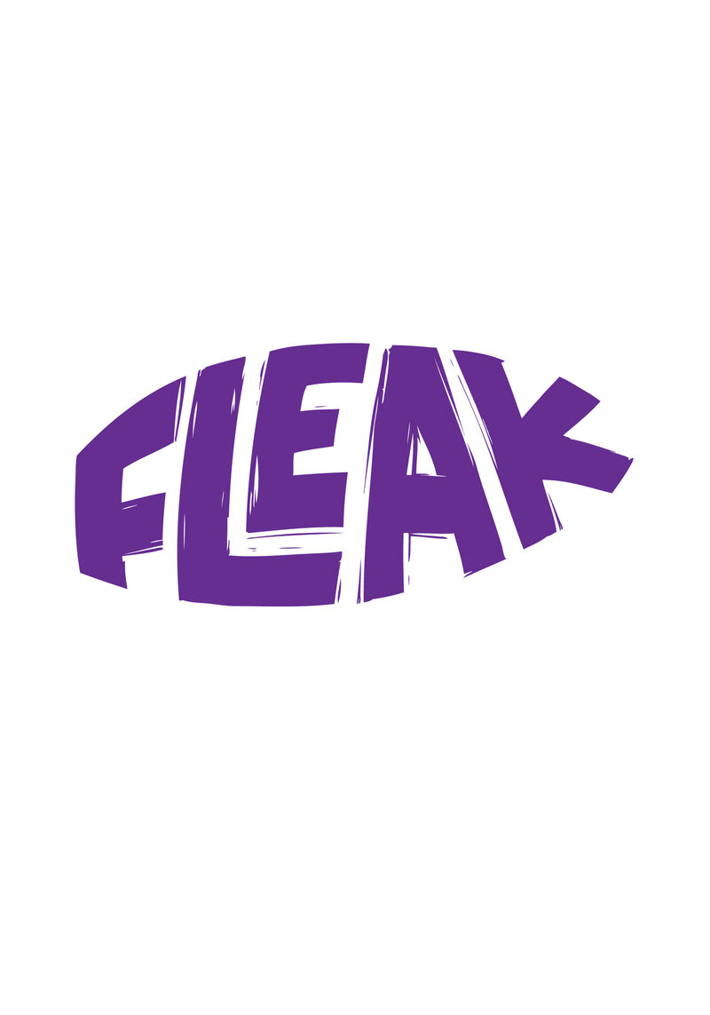 Fleak: Kekseliäs ystäväni